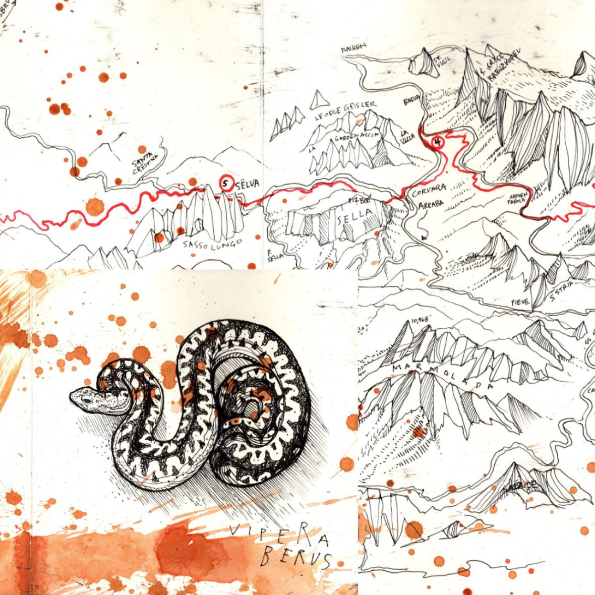 B17 Special Jeremy Collins