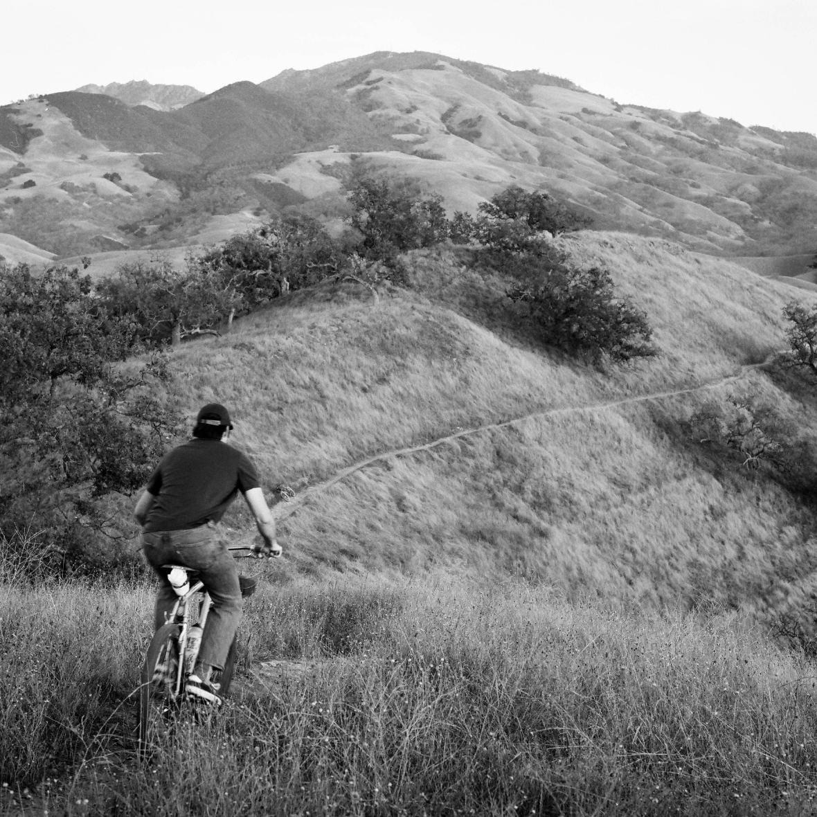 B68, wide leather bike saddle for upright riding comfort - Brooks England